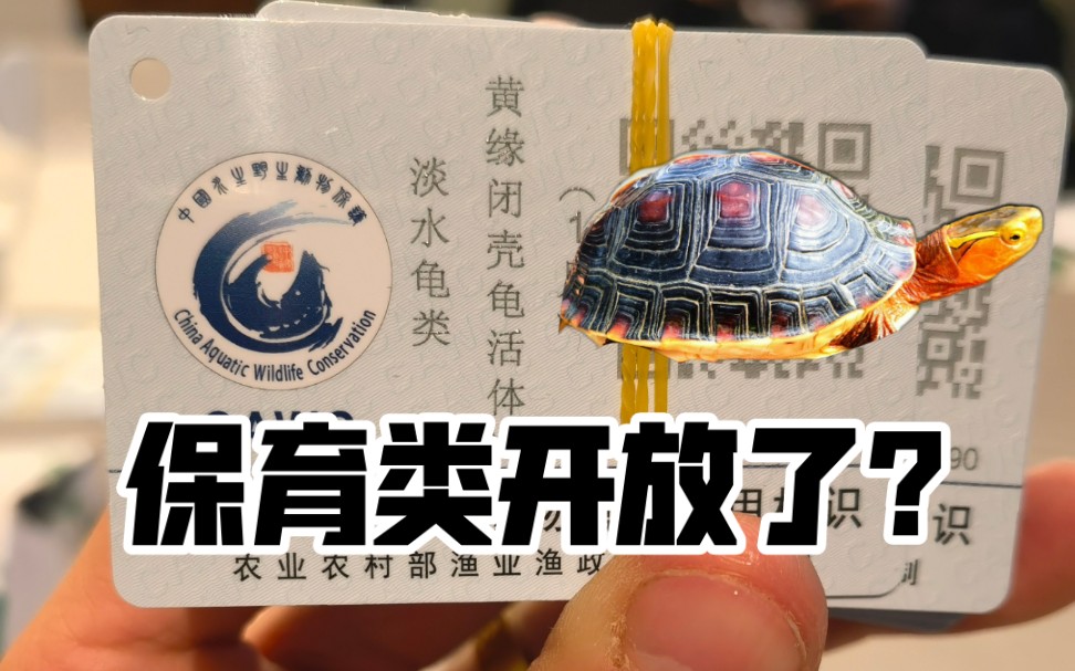 关于保育龟类标识卡详细解读