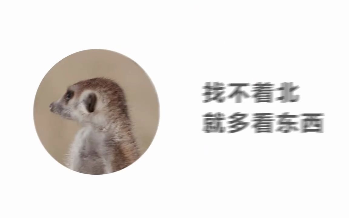 印象笔记沙雕广告《保持进步》