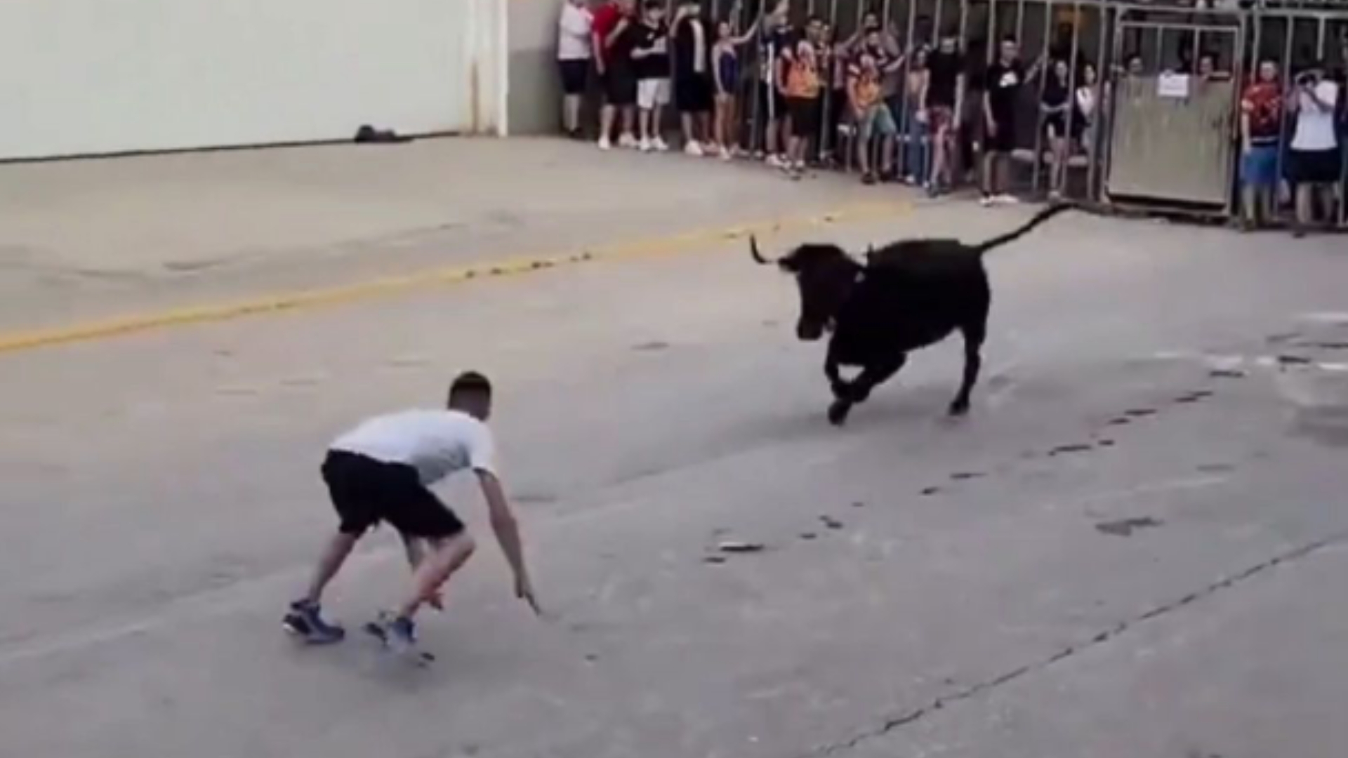 利用最小转弯半径,再狠的公牛也拿他没办法