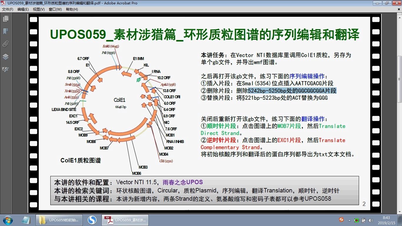 UPOS059_素材涉猎篇_环形质粒图谱的序列编辑和翻译