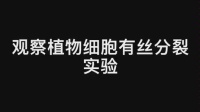 观察植物细胞有丝分裂实验