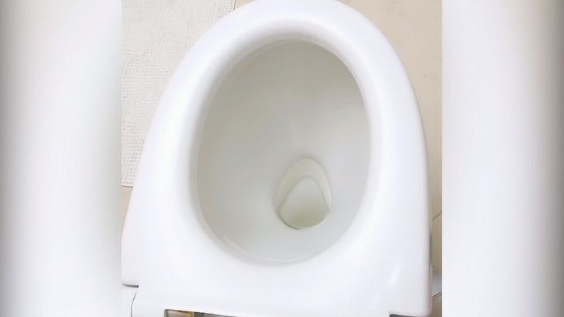 搞笑卡通人:绿色的纸巾在马桶上玩耍,掉了下来,桔子在玩什么呢
