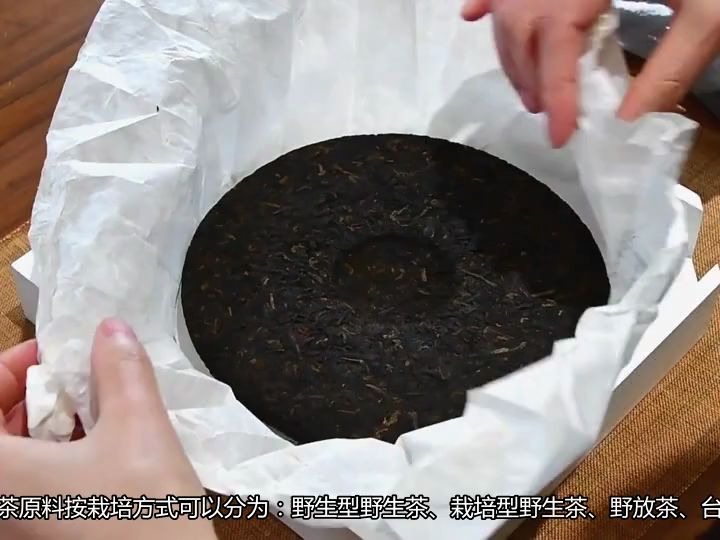 野生型原料的普洱茶有何特征?