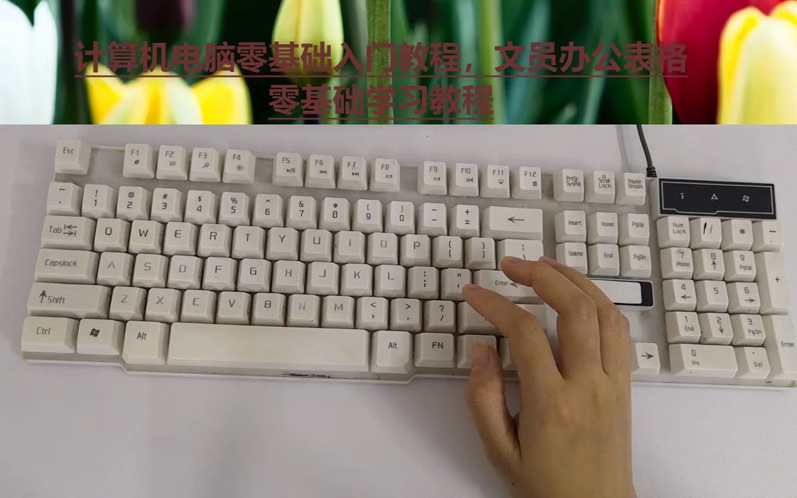 零基础入门学习电脑办公表格文档,电脑键盘主键盘区讲解