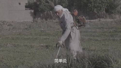 警惕!克百威农药危害大揭秘,农民必看的安全使用指南