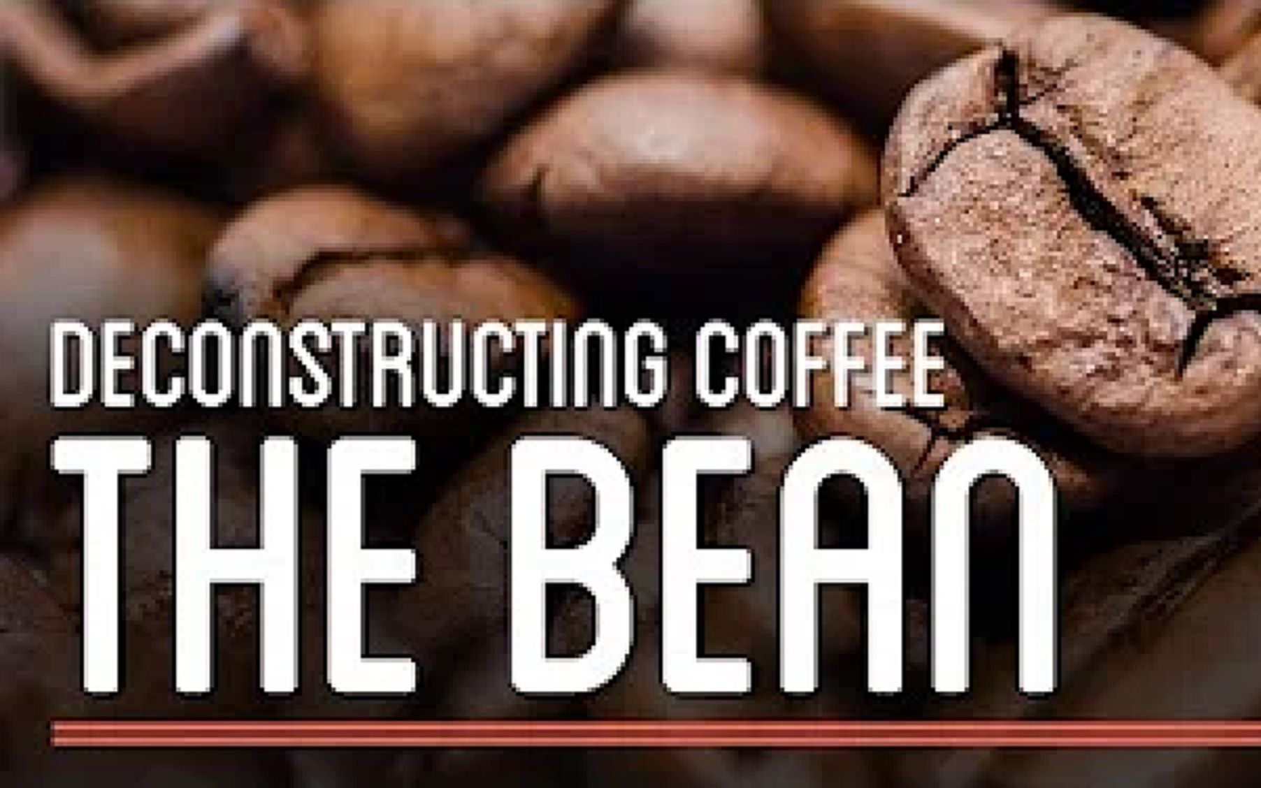 【中英双字】【How To Make Everything】咖啡豆 -解构咖啡