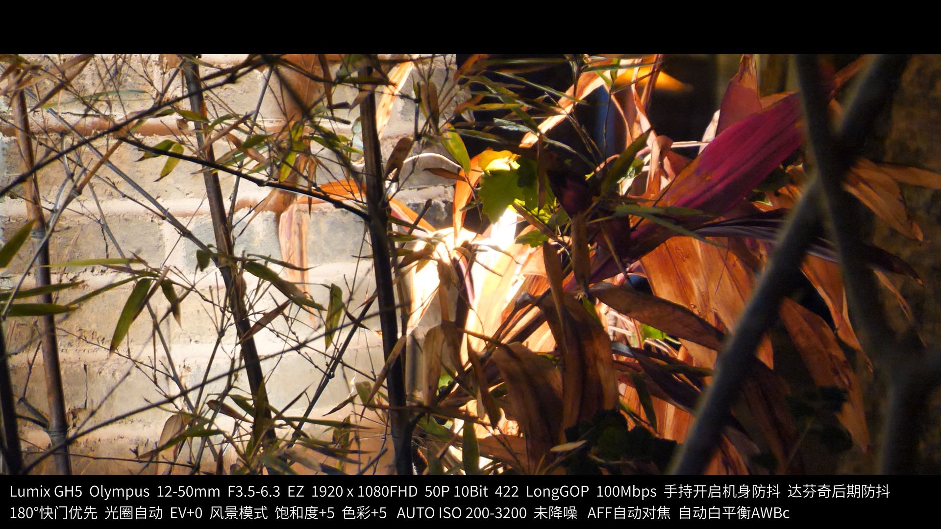 2024年松下GH5依旧很能打!『风景模式夜景色彩直出测试』20240206...