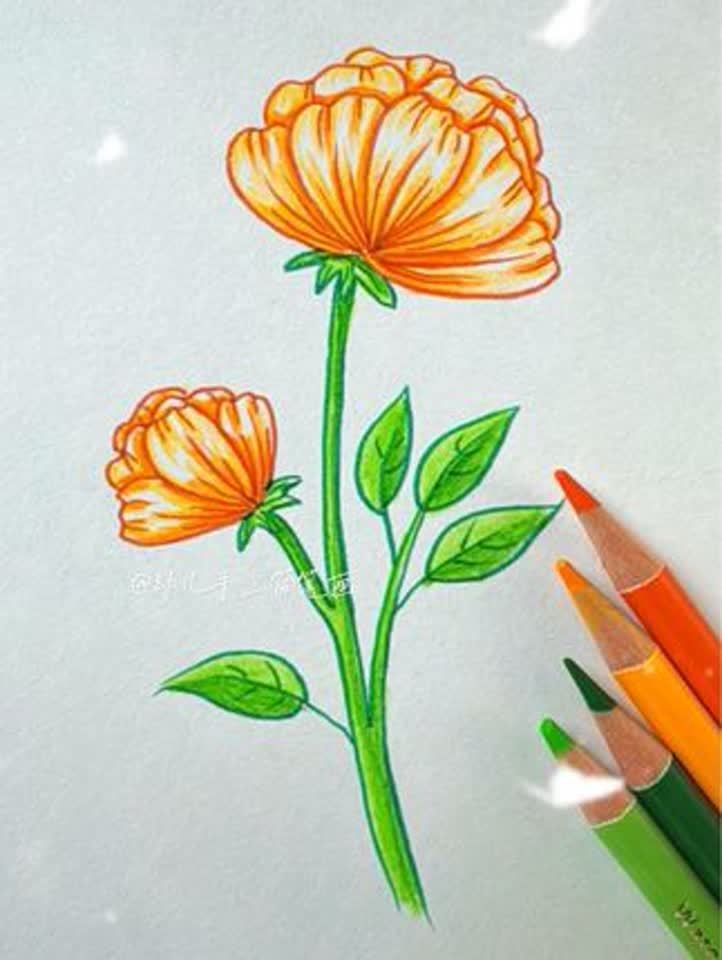 随手画的花朵,求哪位大神给起个名字 #彩铅手绘 #儿童画 #简易花草...