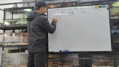 上热门野生动物养殖繁殖许可证04,相关条款!