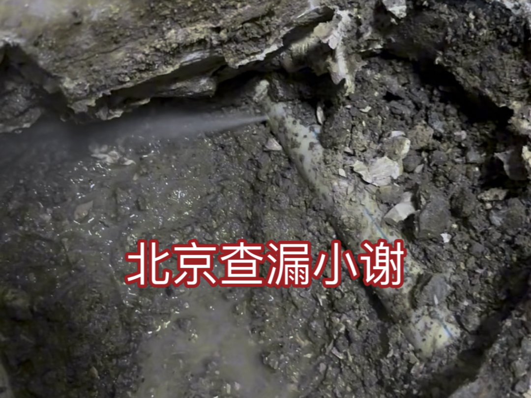 北京漏水检测防水补漏室内外漏水检测仪器设备测漏精准定位一次解决...