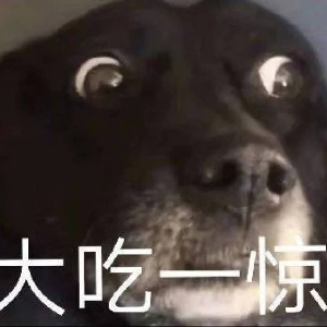 RencaiPP 