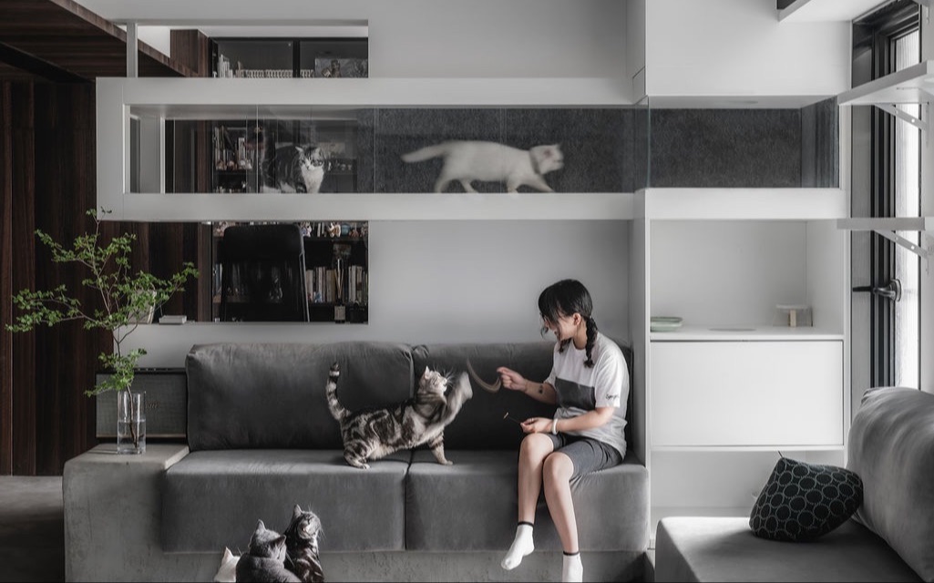 每天与小猫小狗作伴,水墨画的宠物之家,生活不要太美好!