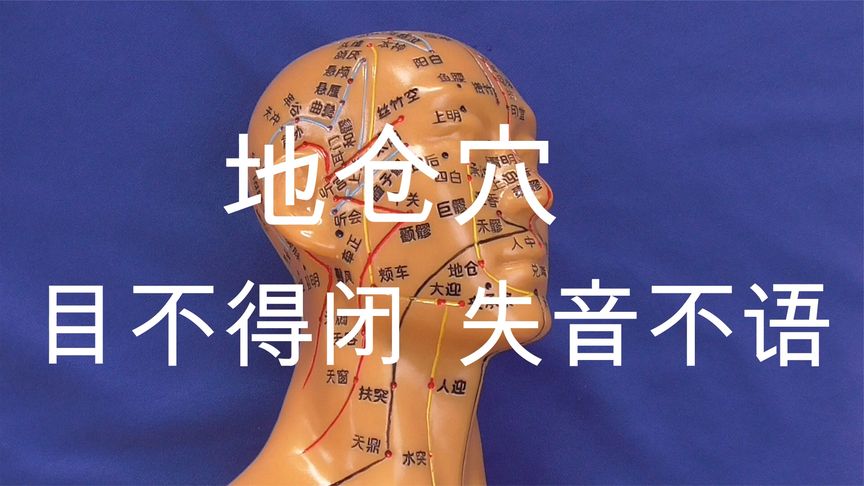 地仓穴主治:偏风口㖞,目不得闭,失音不语,饮水不收,水浆漏落