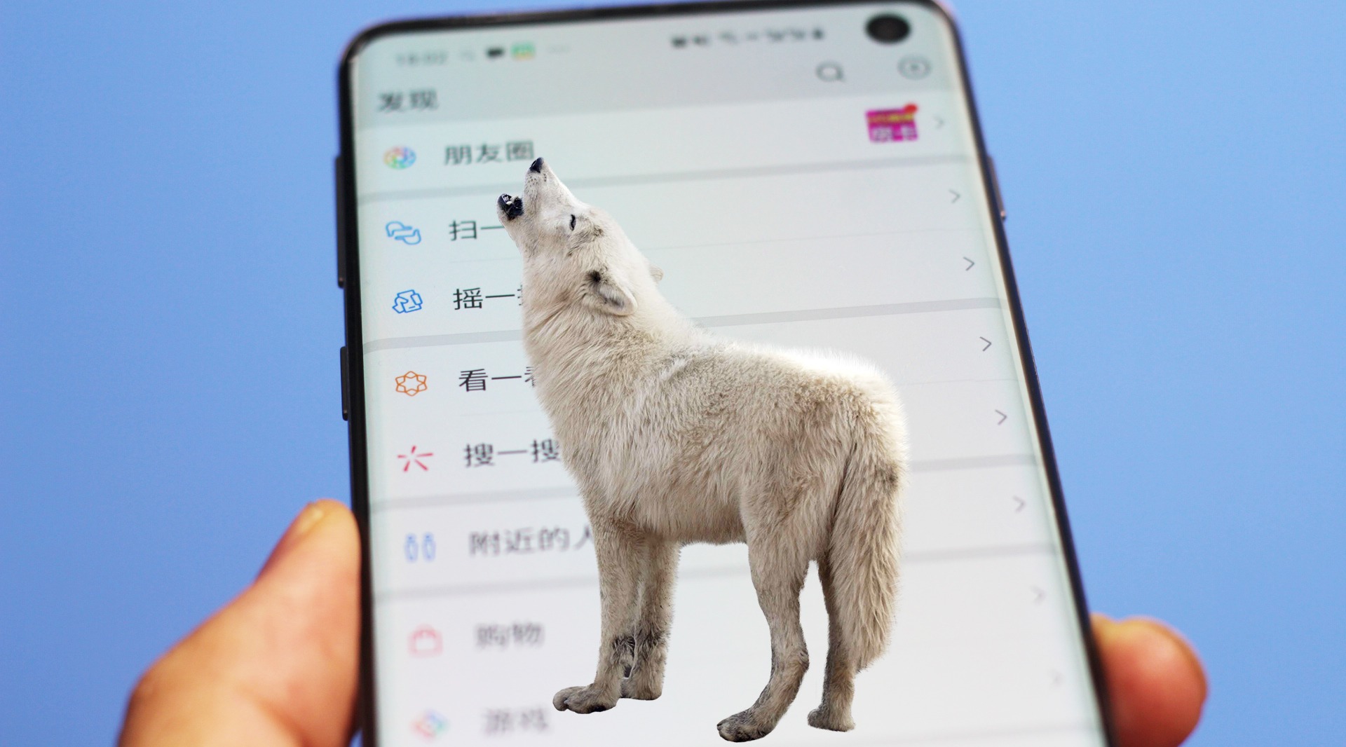 手机打开这个开关,就能在屏幕养狼,别人动你微信狼就扑出来大叫