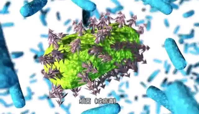 细菌或者病毒的传播途径有哪些?看了视频你是否了解到了呢?