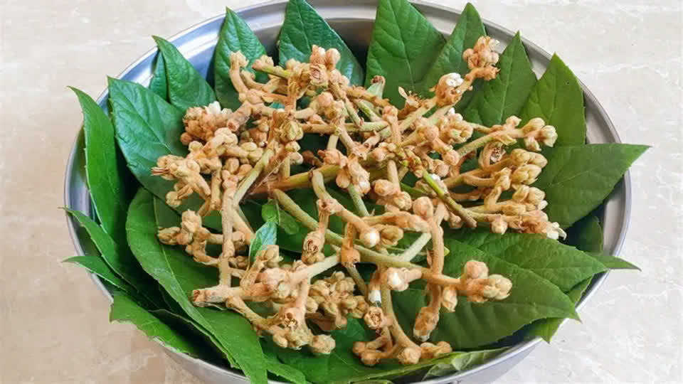 制作枇杷膏用枇杷,还是枇杷叶
