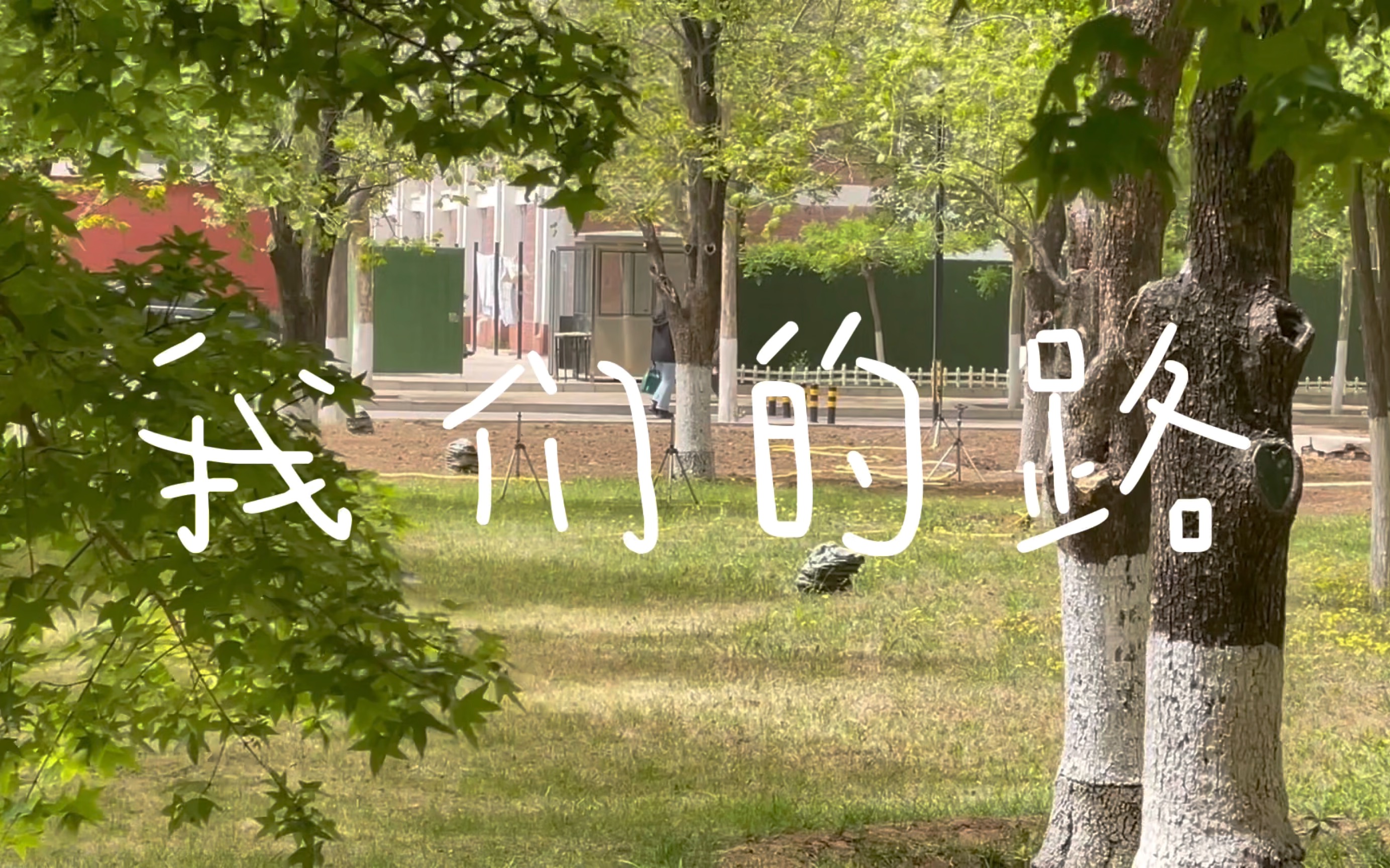 阵痛——我们的社会化之路