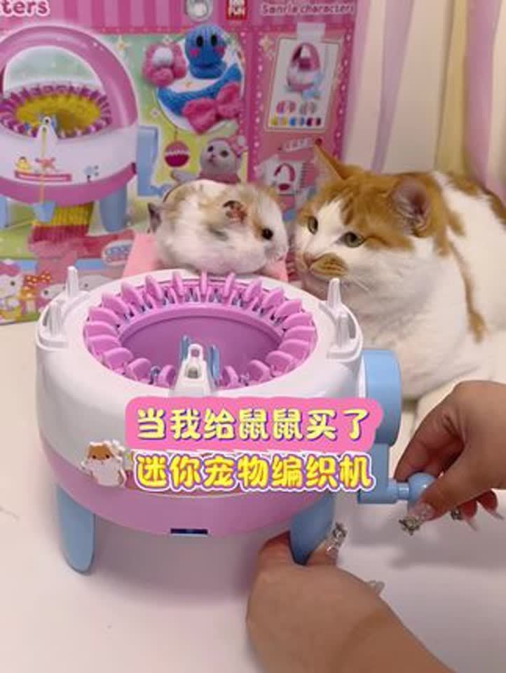 摇一摇就能给宠物织衣服?蔡可爱爱仓鼠