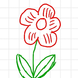 暖阳下的小花 