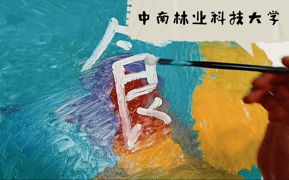 中南林业科技大学食品科学与工程学院2018年学代会宣传视频