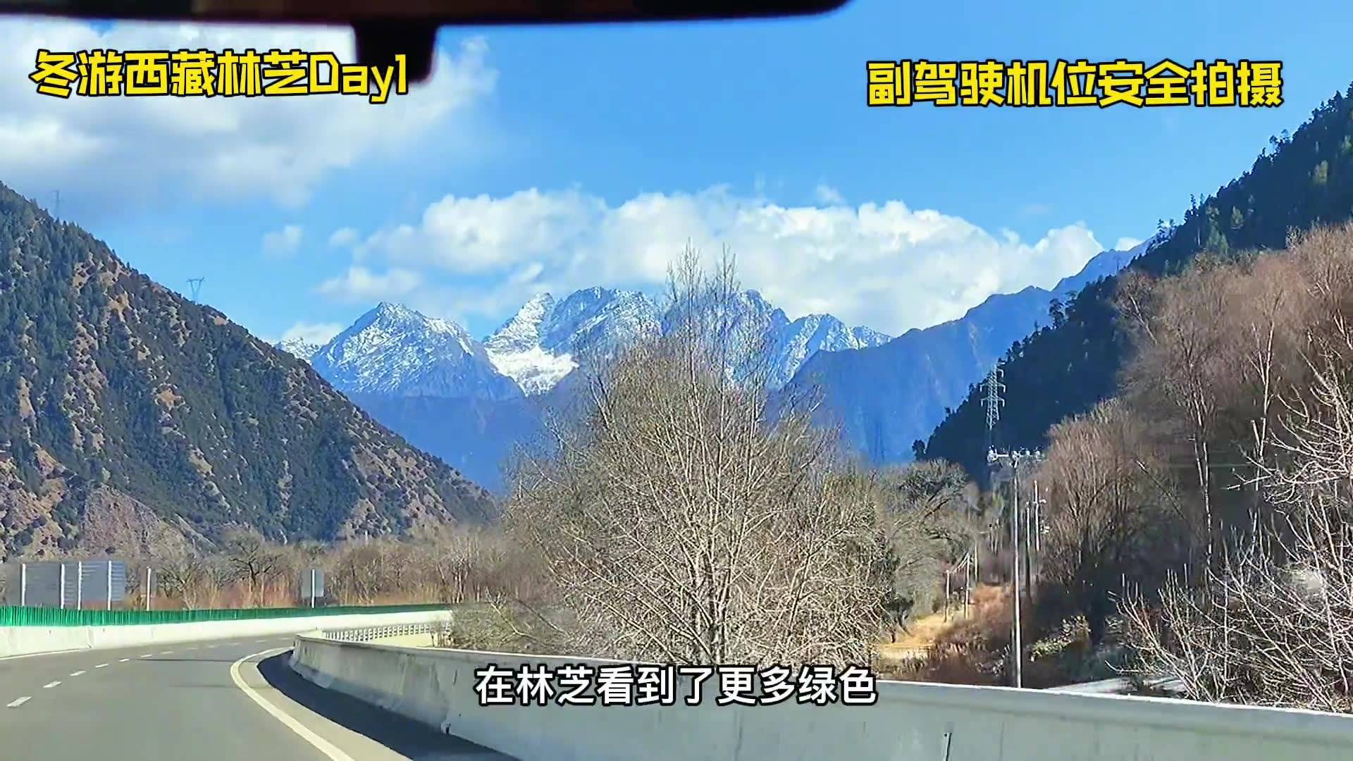 从拉萨火车到林芝,与青旅伙伴共闯低海拔仙境