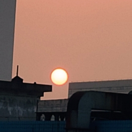 老蜜桃的战术后仰 