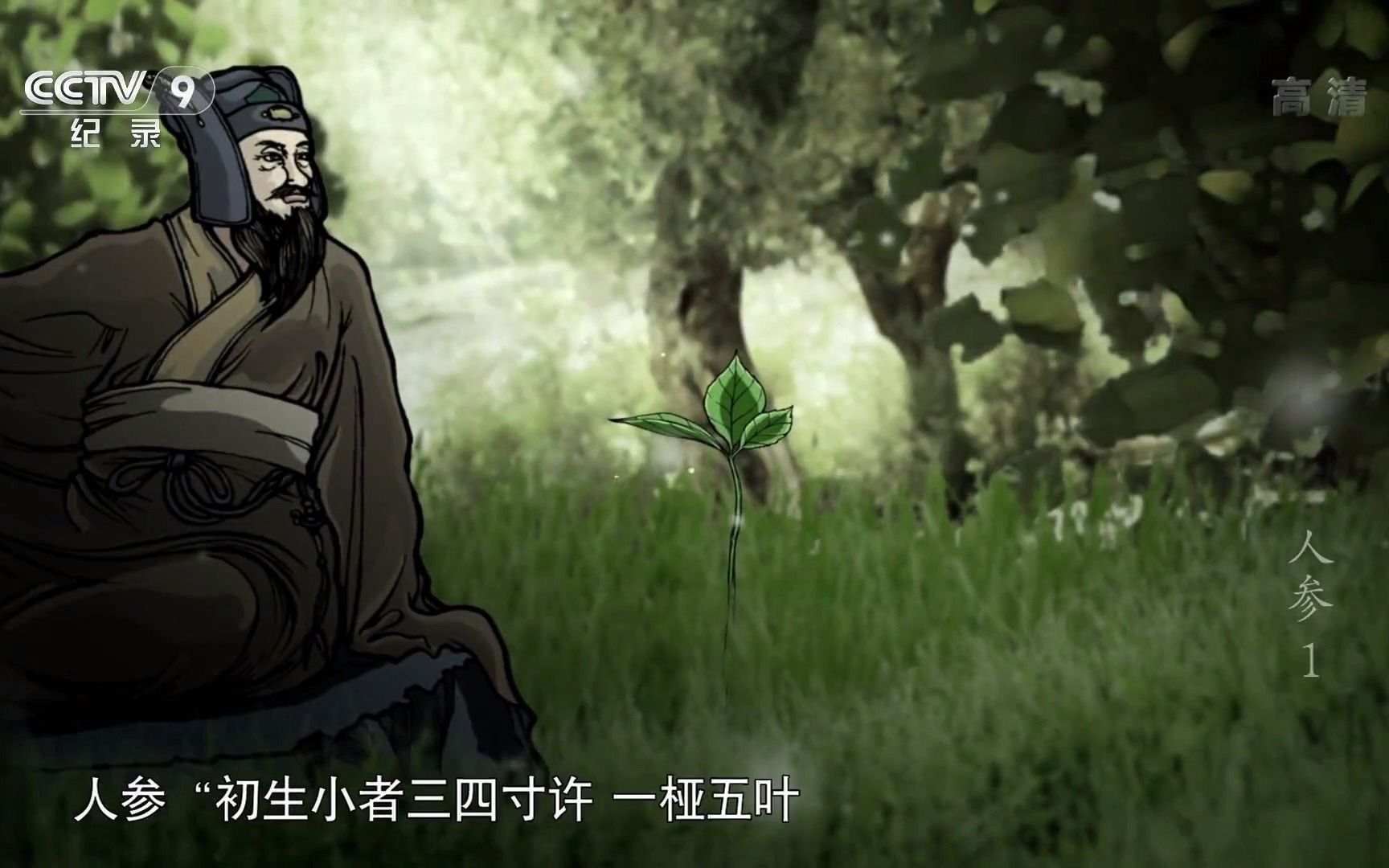 人参的生长习性