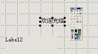 VF第六章表单设计1