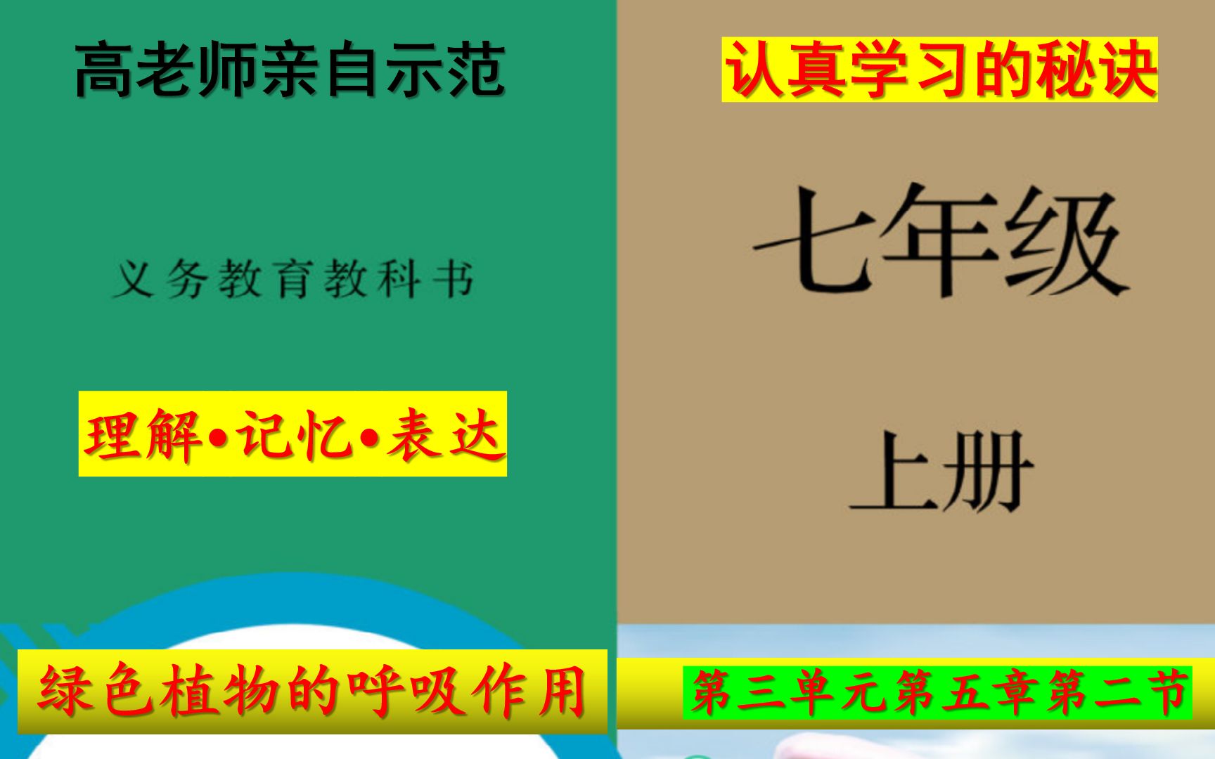 ...上册第三单元第五章第二节 绿色植物的呼吸作用 教材问题及课后练习