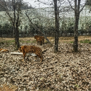 齐生设计培训学校 