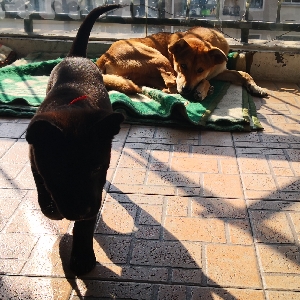 来日方丈来日方丈 