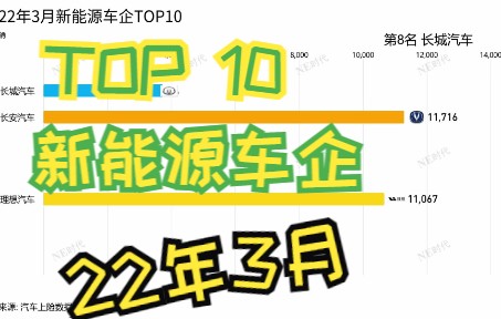2022年3月新能源车企TOP10
