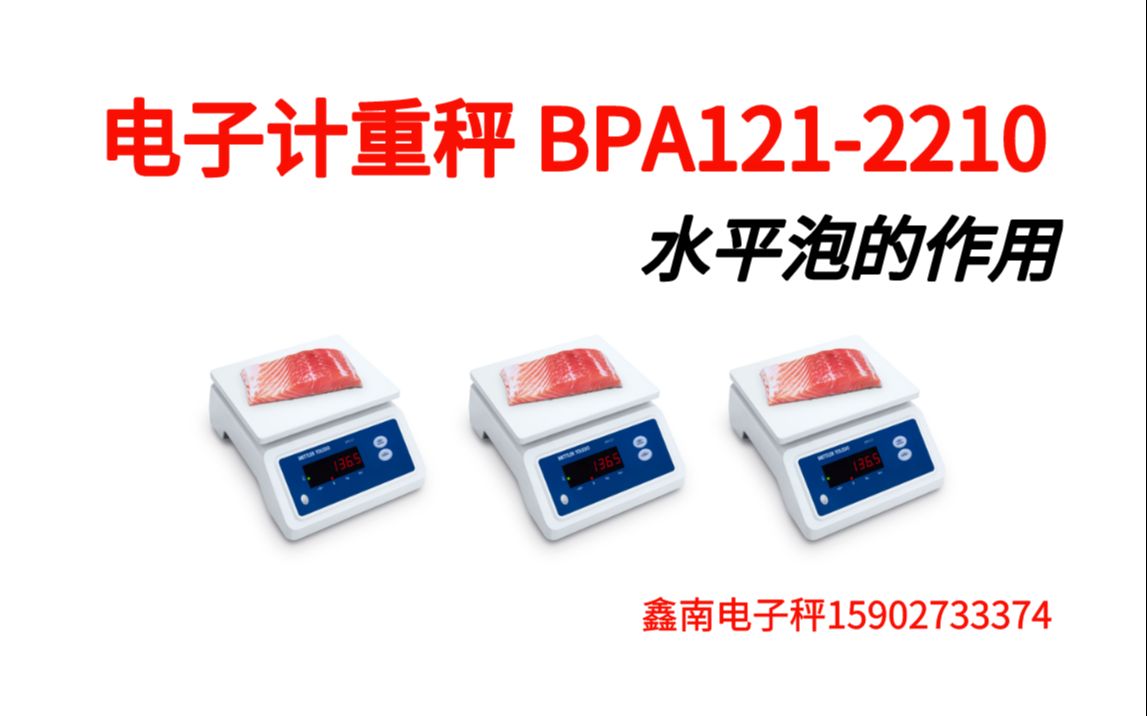 电子计重秤 BPA121-2210潮湿、恶劣环境应用的解决方案.具有基本...