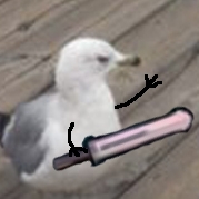 朝阳逆光 