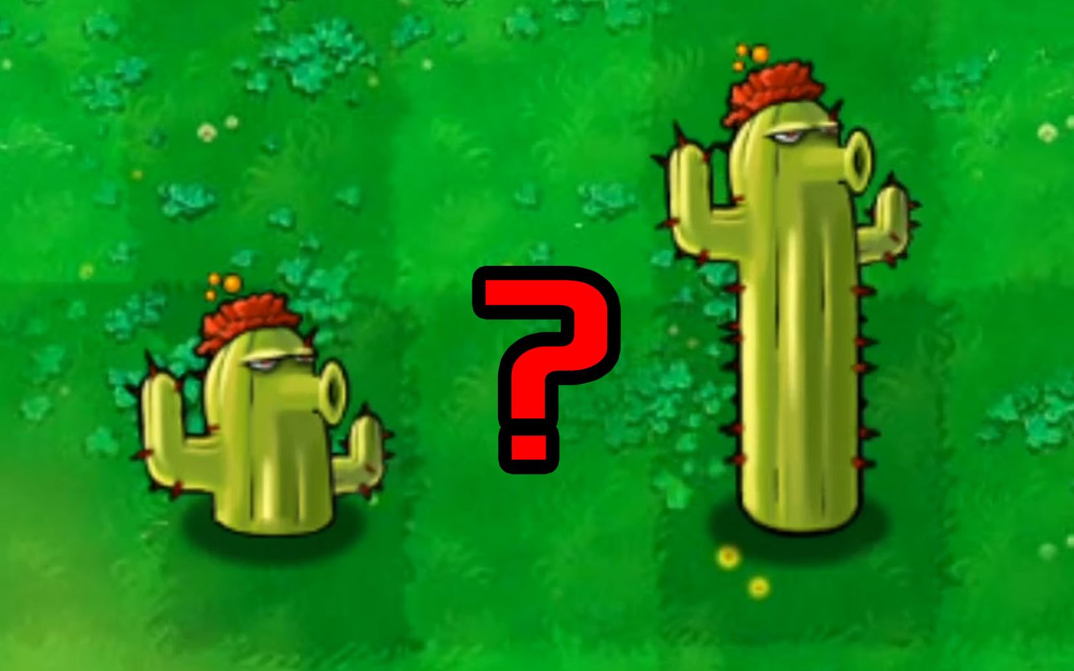 为什么仙人掌可以变长变短?