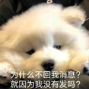 努力变小神-- 