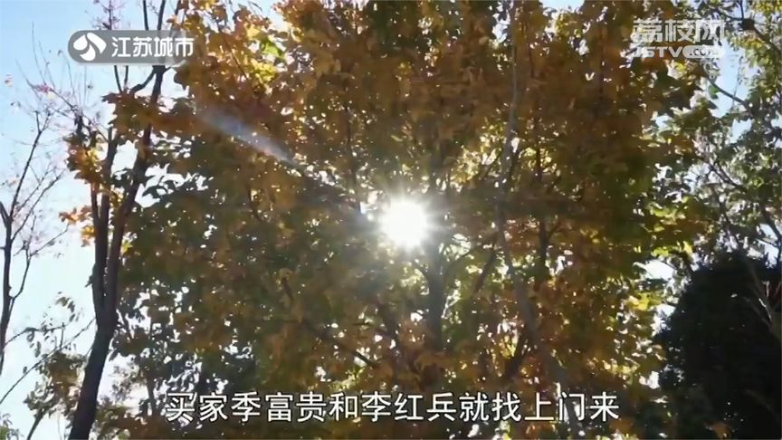 砍伐自家树木也犯法?证件过了期,男子擅自砍伐树木被判刑!