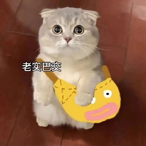明铭茗萌 