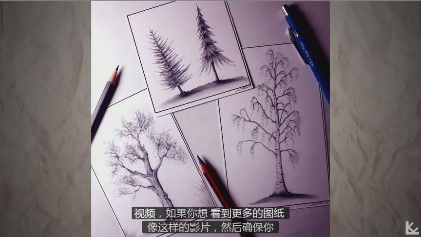 姿态万千树 画法因结构种类而异 感受树木整体的姿态