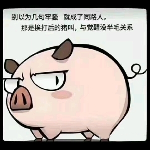 金轮不会量化 