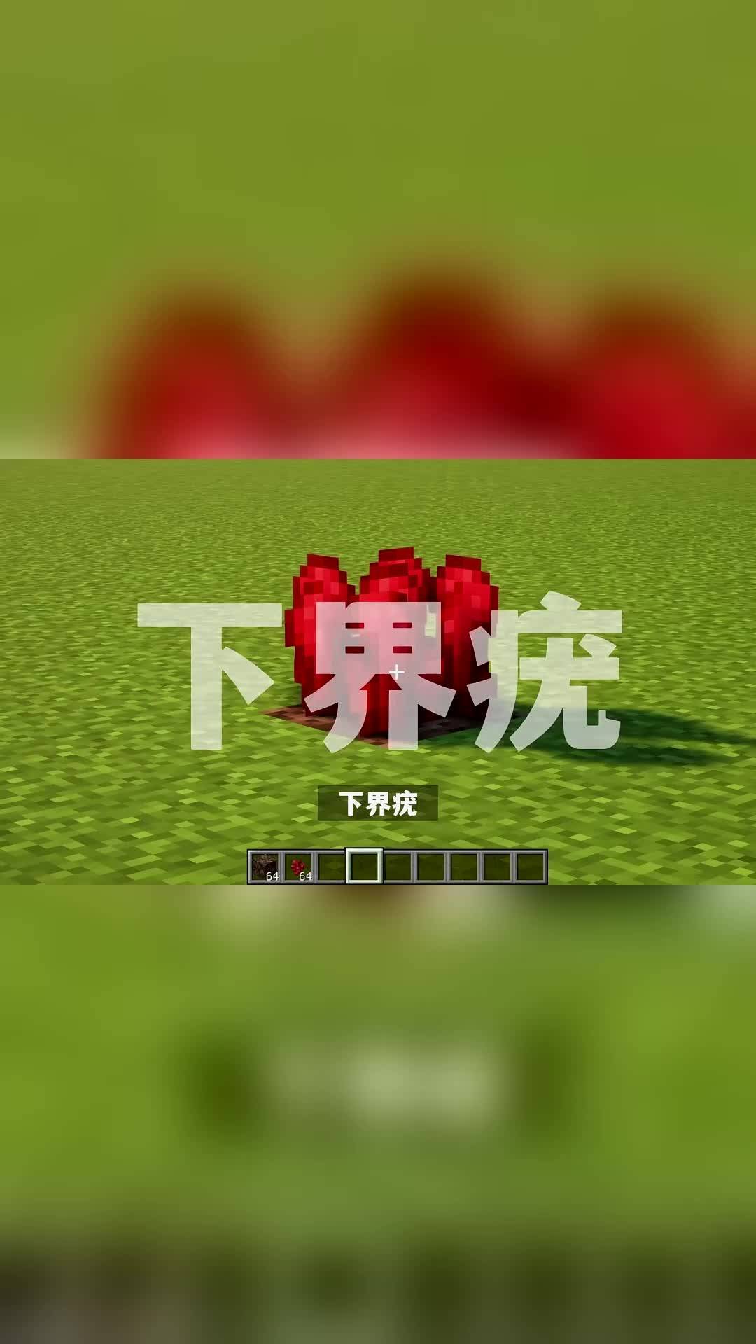 MC:鬼才设计,下界疣农场,全自动挂机