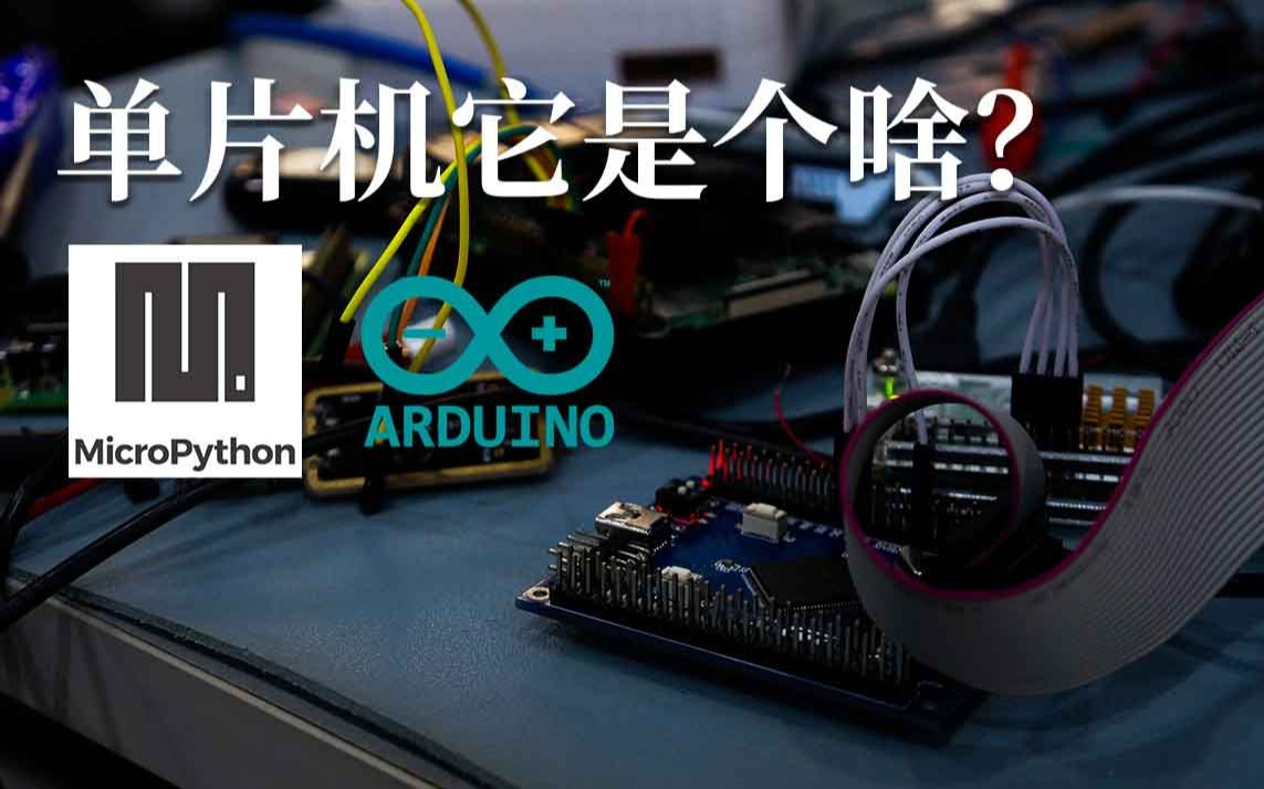 你们说的单片机它是个啥?
