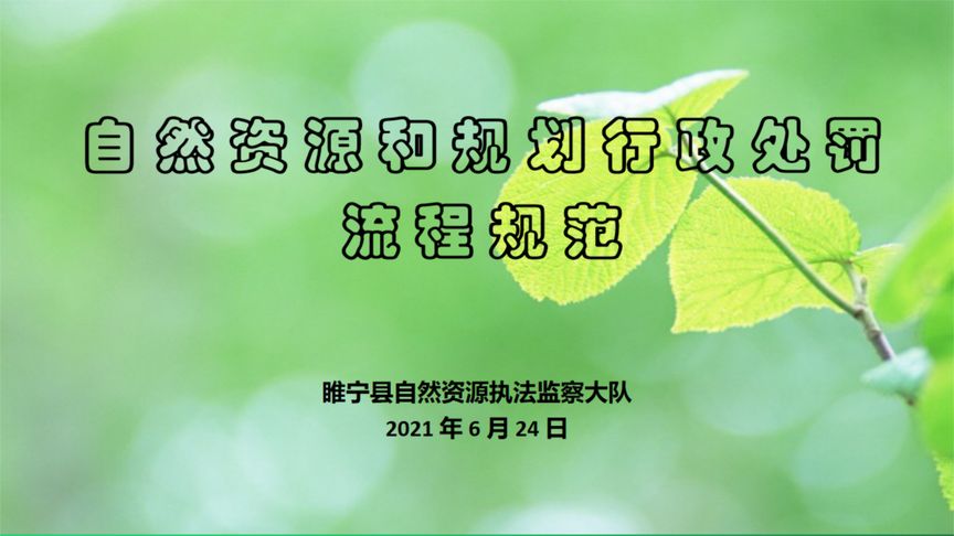 自然资源和规划行政处罚流程规范