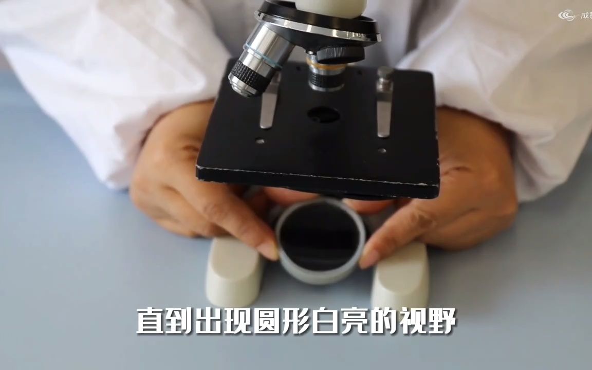 实验8:观察血细胞