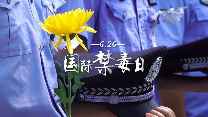 读懂缉毒警察的奉献和牺牲对毒品说“不”