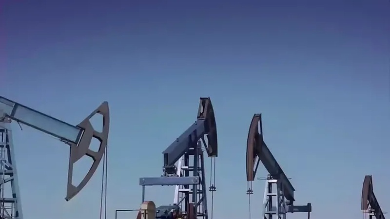 石油输出国组织:第三世界国家的石油盟主之路