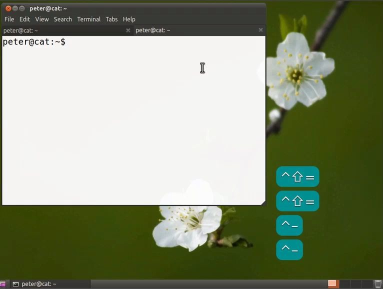 Ubuntu 系统下的命令行使用小技巧