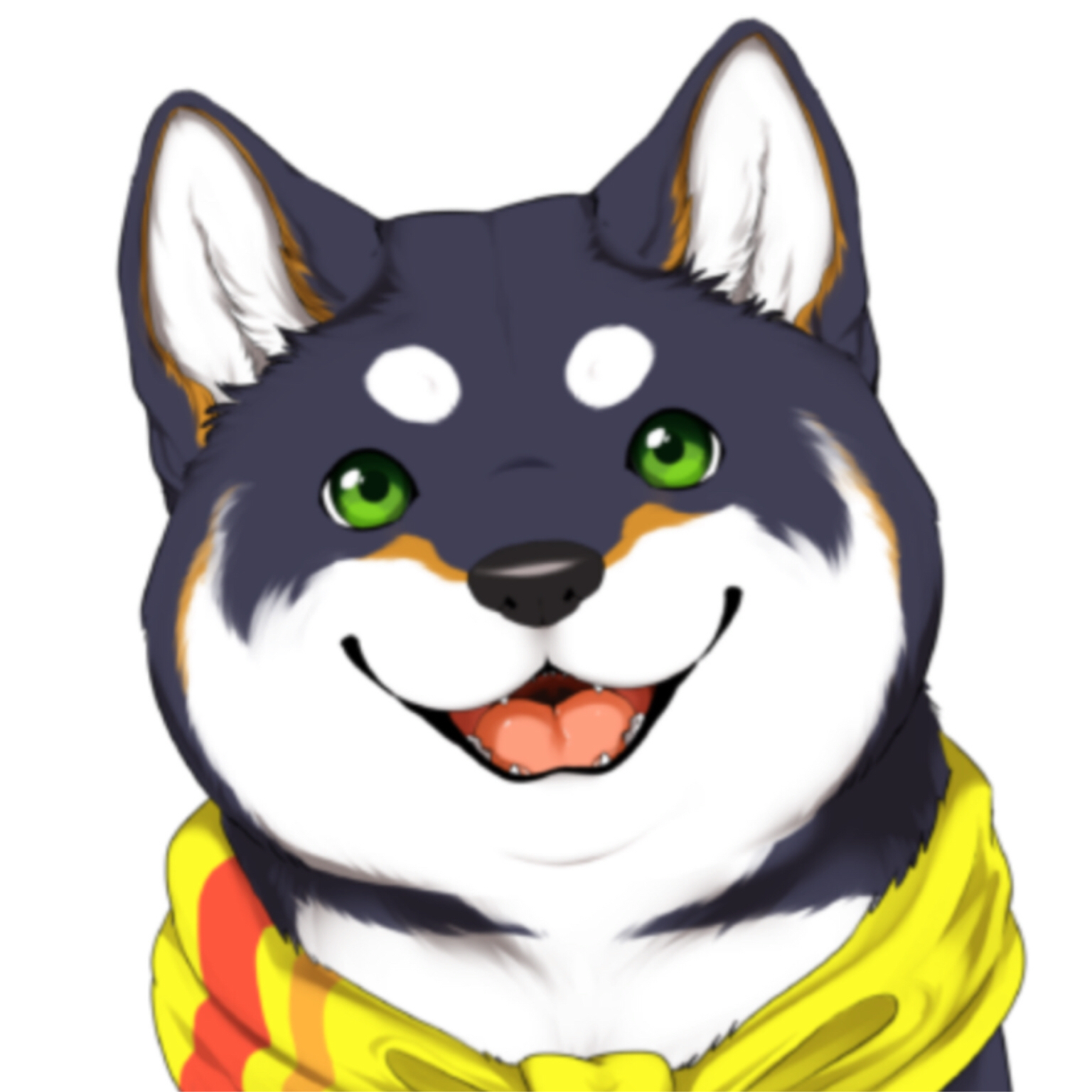 黑井柴的犬舍后院 