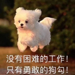 不落星轨 