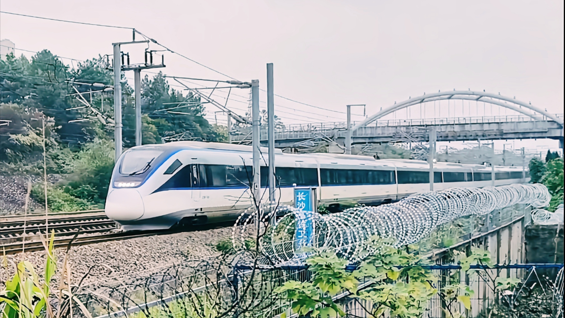 ...-离谱!-6F惊现衡阳东!-假期临客-CRH6F担当C9123次列车衡阳东出站